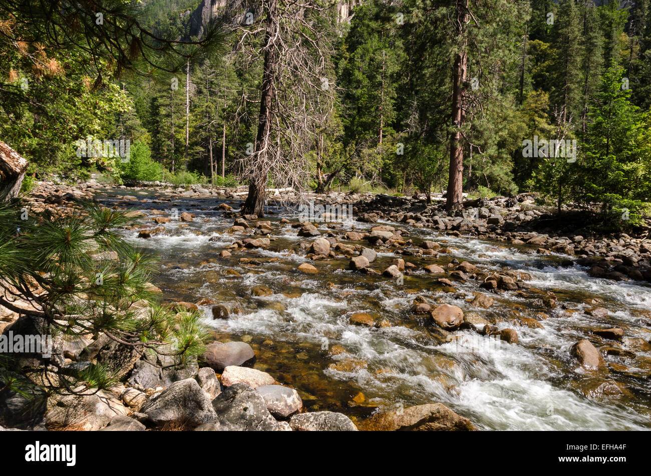 River in Yosemite National Park in California Stock Photo - Alamy