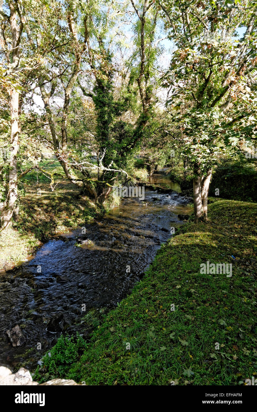 Llechllafar, St Davids Cathedral (Welsh Eglwys Gadeiriol Tyddewi), is ...