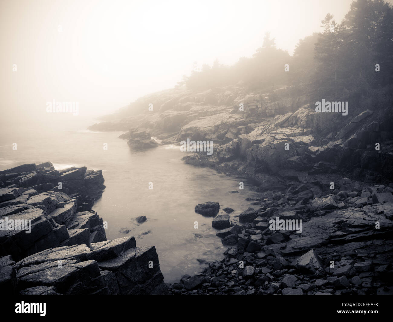 Early morning fog off the coast of Acadia National Park, Maine, USA ...