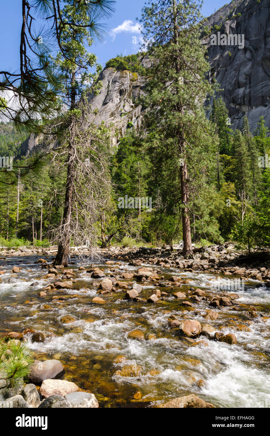 River in Yosemite National Park in California Stock Photo - Alamy