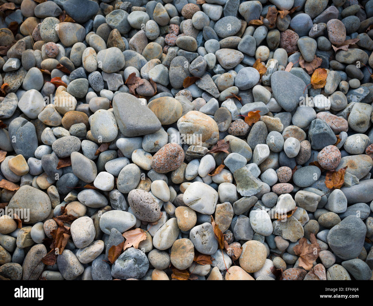 Pebbles, Little Hunters Beach, Acadia National Park, Maine, USA Stock ...