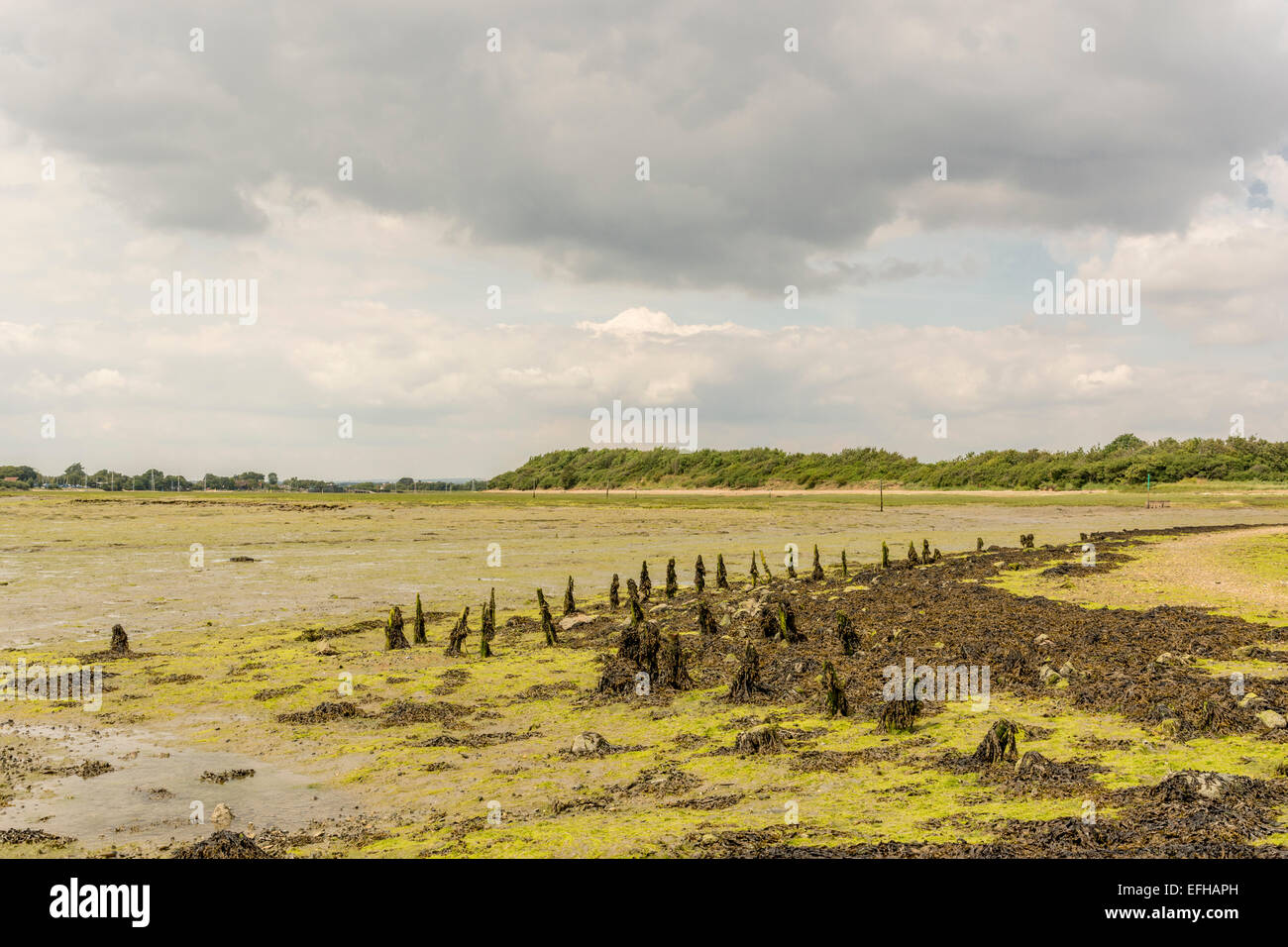 Hoe bosham hi-res stock photography and images - Alamy