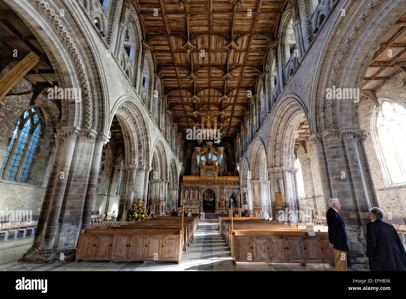 St davids cathedral shrine hi-res stock photography and images - Alamy