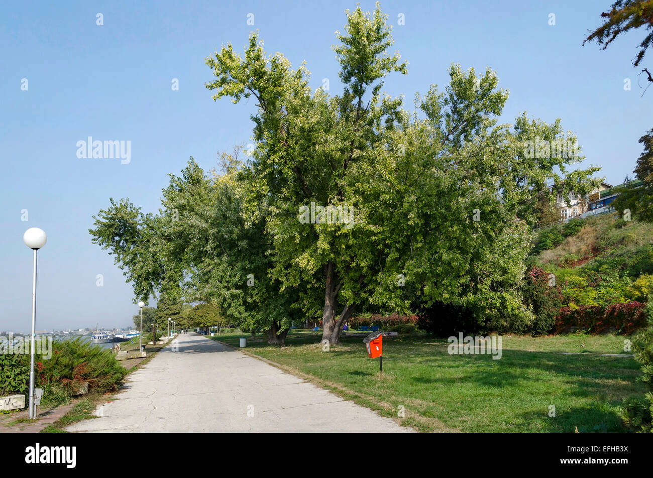 Riverside park in Ruse town along river Danube, Bulgaria Stock Photo ...