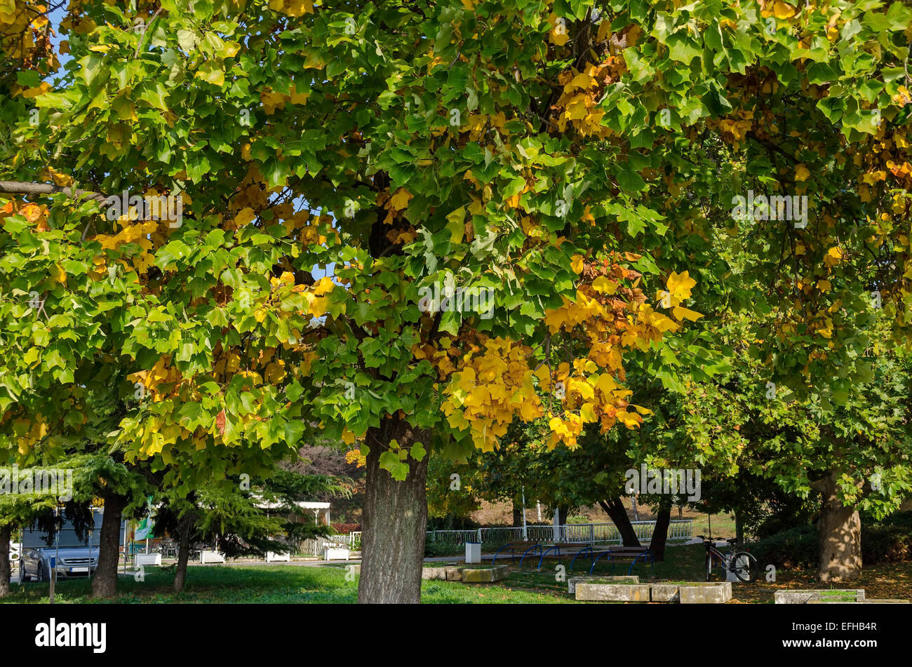Part of riverside park in Ruse town, Bulgaria Stock Photo - Alamy