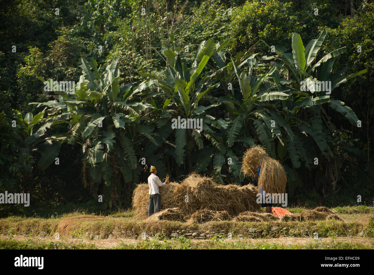 Building haystack hi-res stock photography and images - Alamy