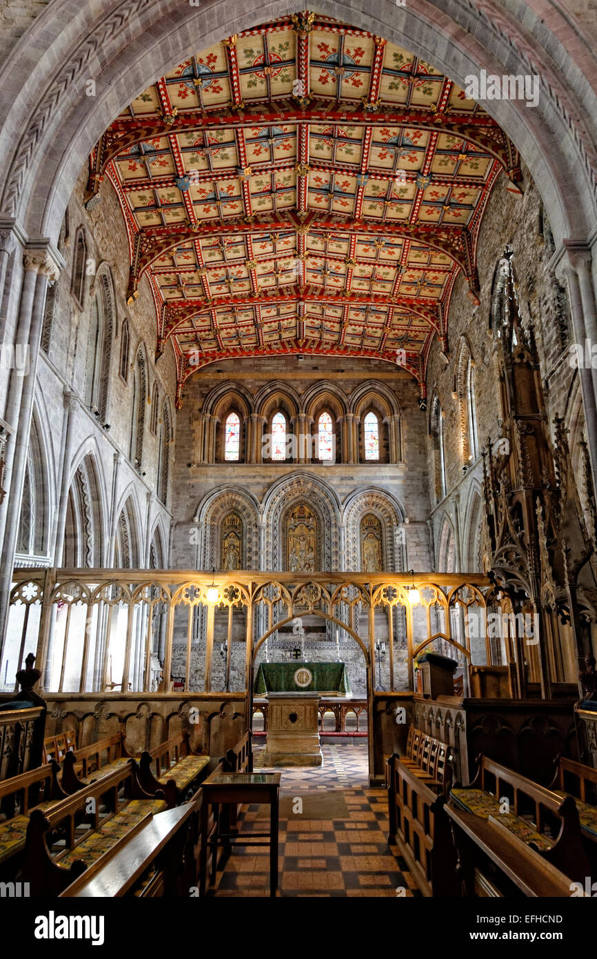 St davids cathedral shrine of st david hi-res stock photography and ...