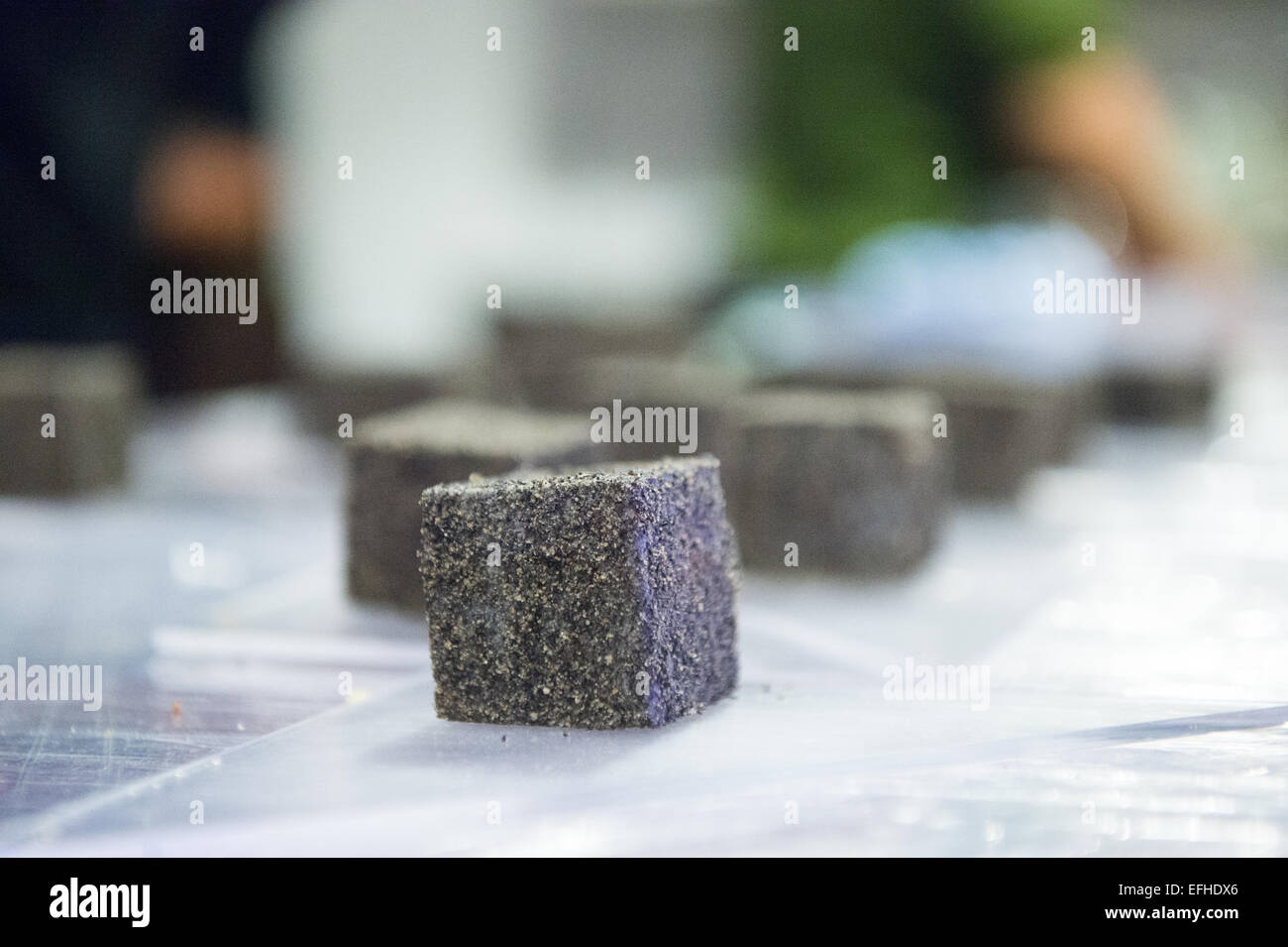 London, UK. 3rd February, 2015. Sean Rogg presents The Waldorf Project ...