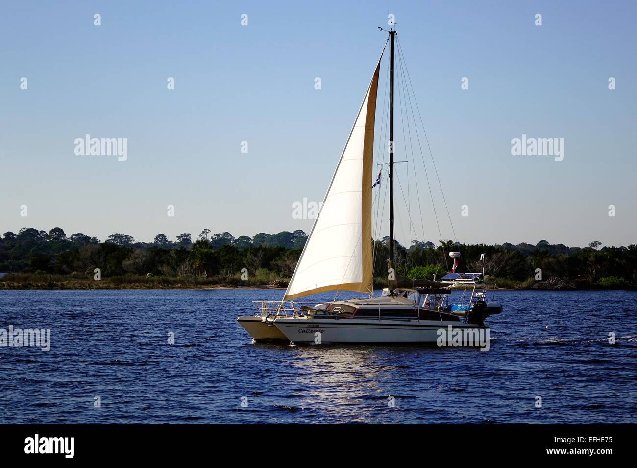 Catamaran sailing on river hi-res stock photography and images - Alamy