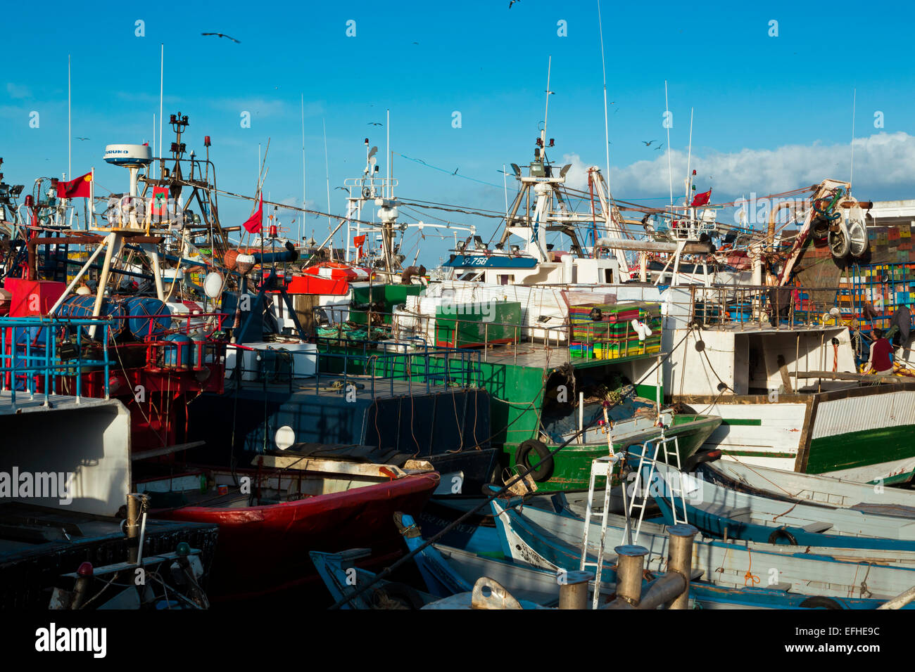 The Fish Harbour,Tangier, Morocco Stock Photo - Alamy