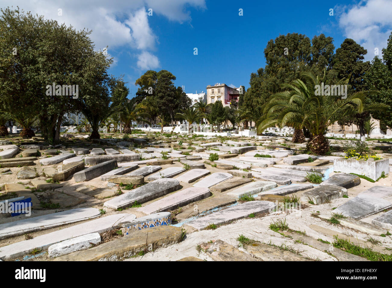 The Jewish Cemetery,Tangier, Morocco Stock Photo - Alamy