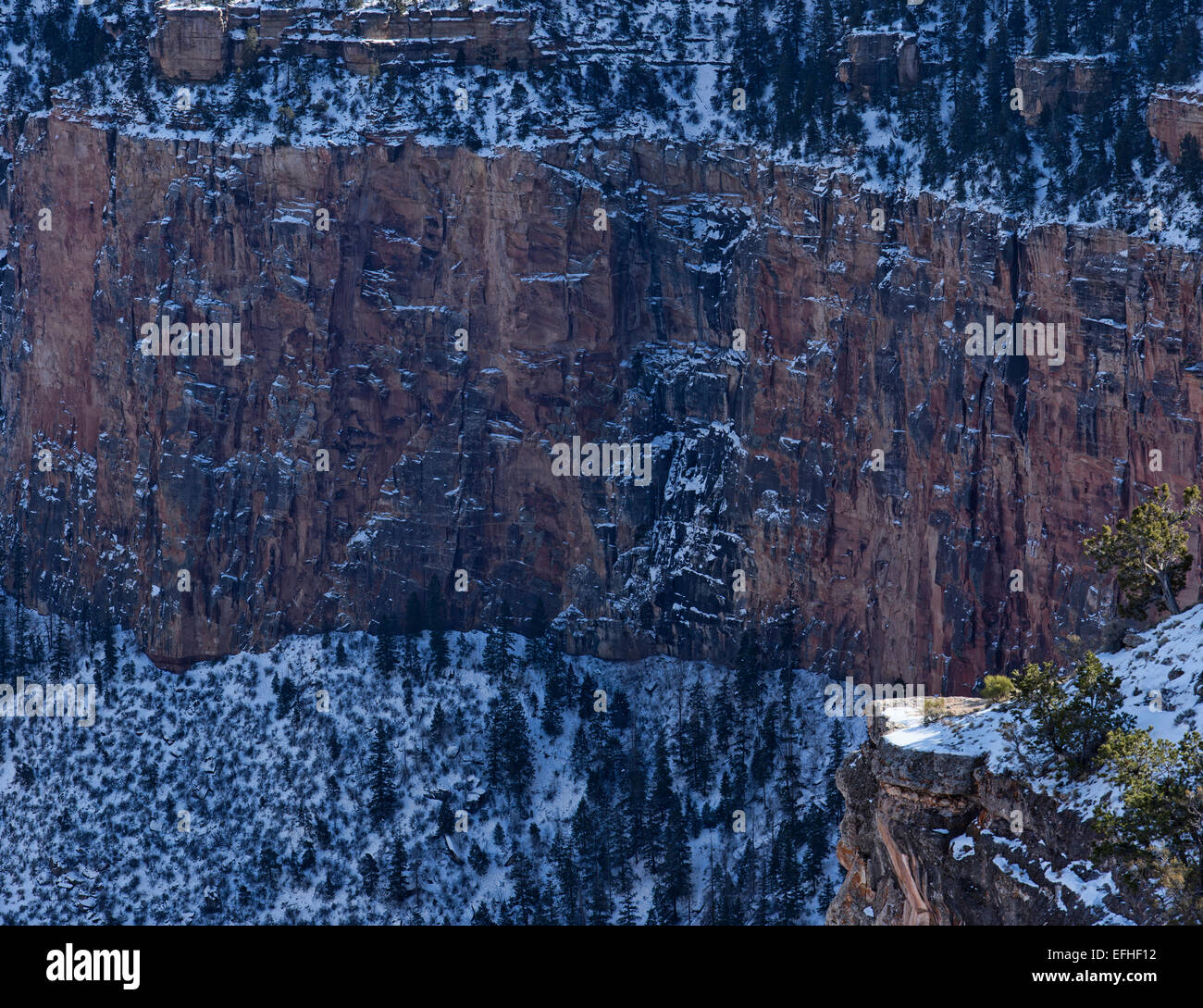 Grand Canyon, Arizona, sheer cliff shadow and snow panorama Stock Photo ...