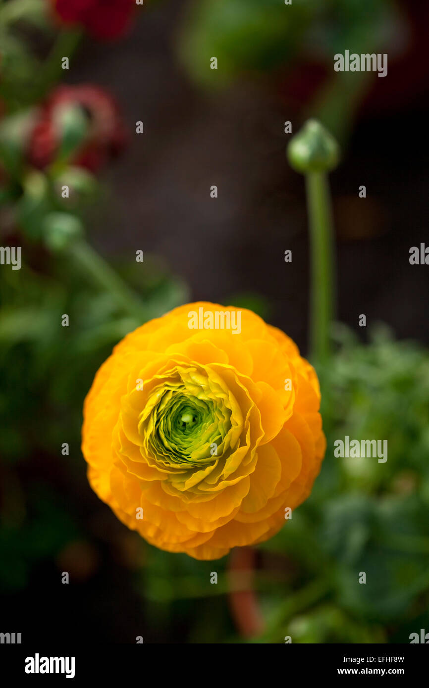 Eyelet hi-res stock photography and images - Alamy