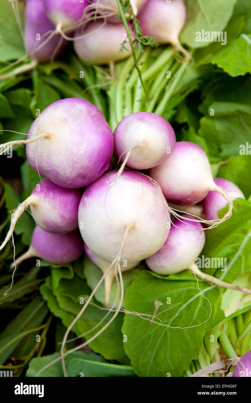 Bunch of turnips on a market stall Stock Photo - Alamy
