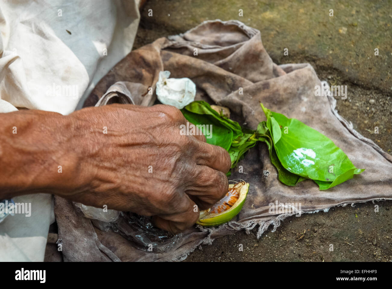 preparing betel leaf for chewing in bali indonesia Stock Photo - Alamy