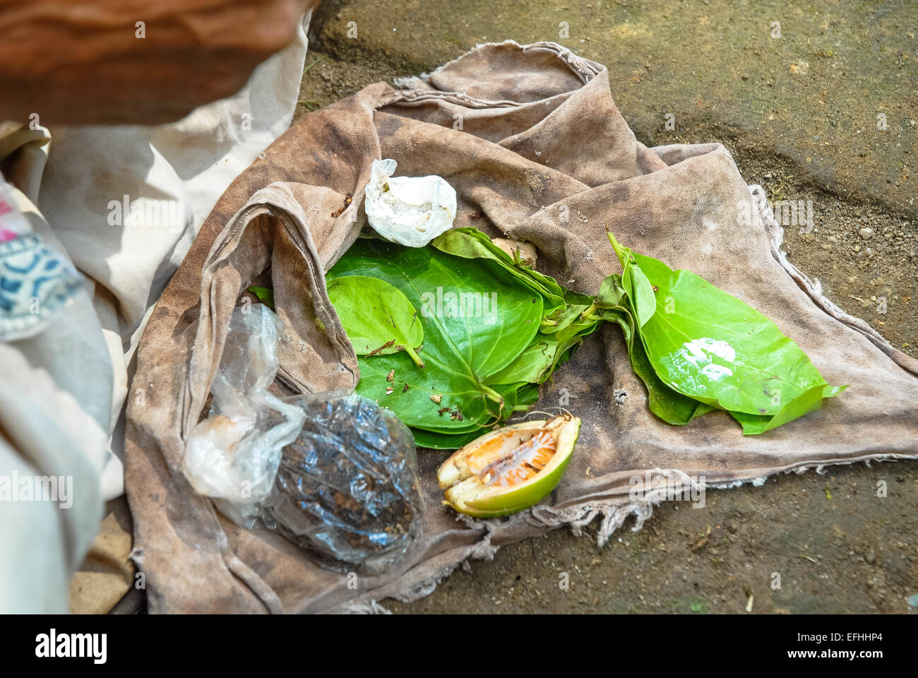 Leaf chewing hi-res stock photography and images - Alamy