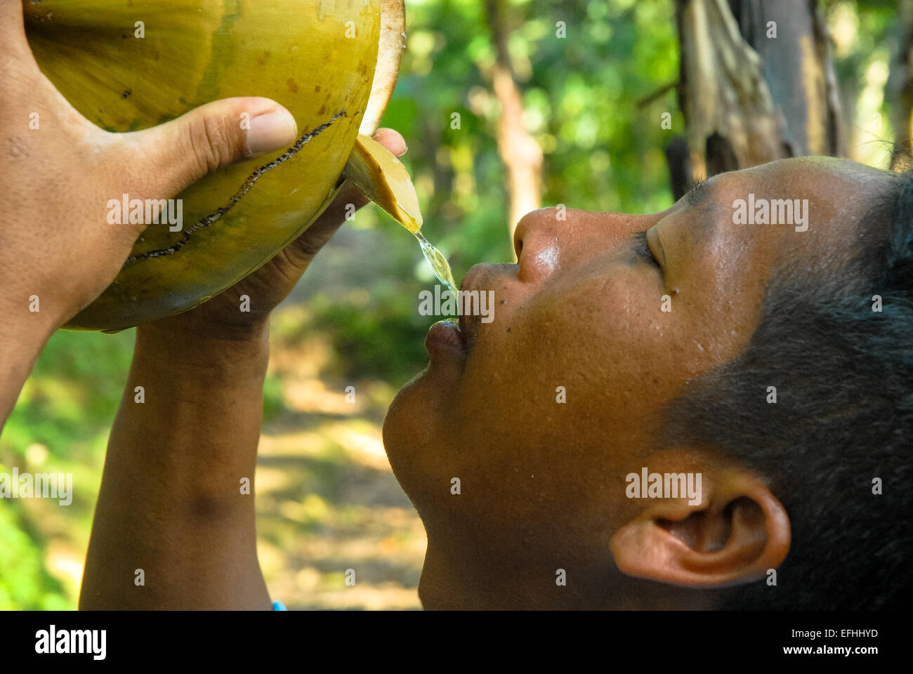 drinking fresh coconut juice from coconut Stock Photo - Alamy drinking fresh coconut juice from coconut Stock Photo - Alamy