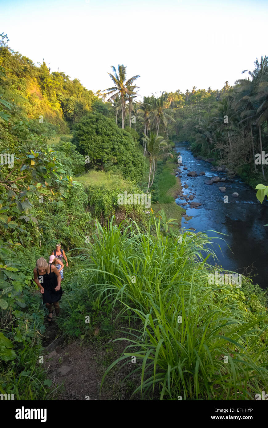 trekking along river at bali indonesia Stock Photo - Alamy