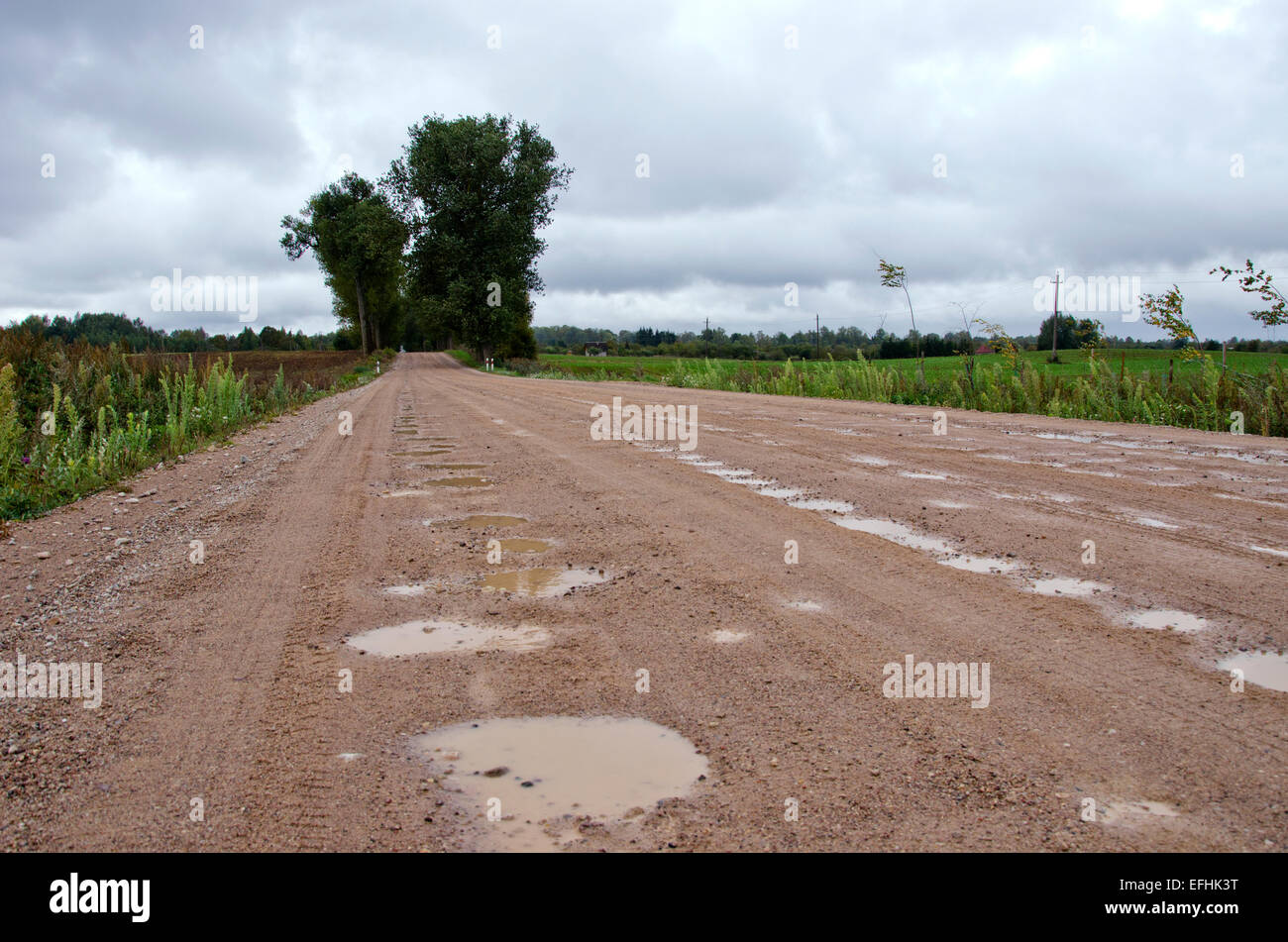 wet rural gravel road with puddles after rain Stock Photo - Alamy