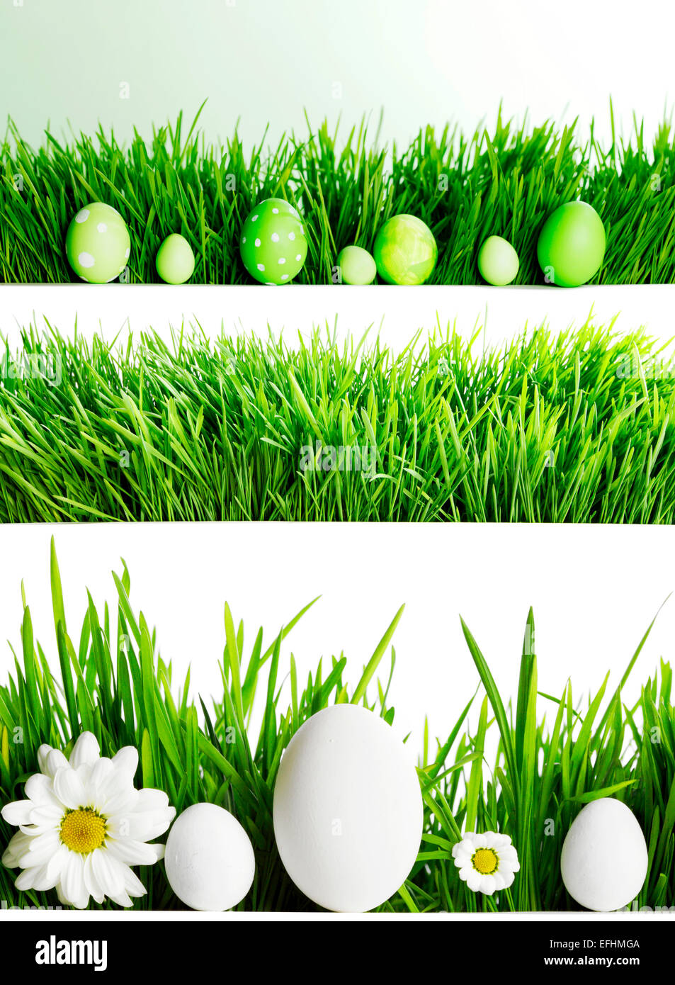 Set of easter eggs in fresh green grass isolated on white background ...