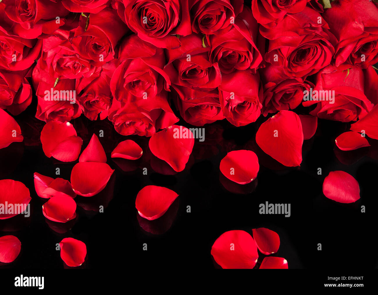 Bouquet of roses isolated on black background Stock Photo - Alamy