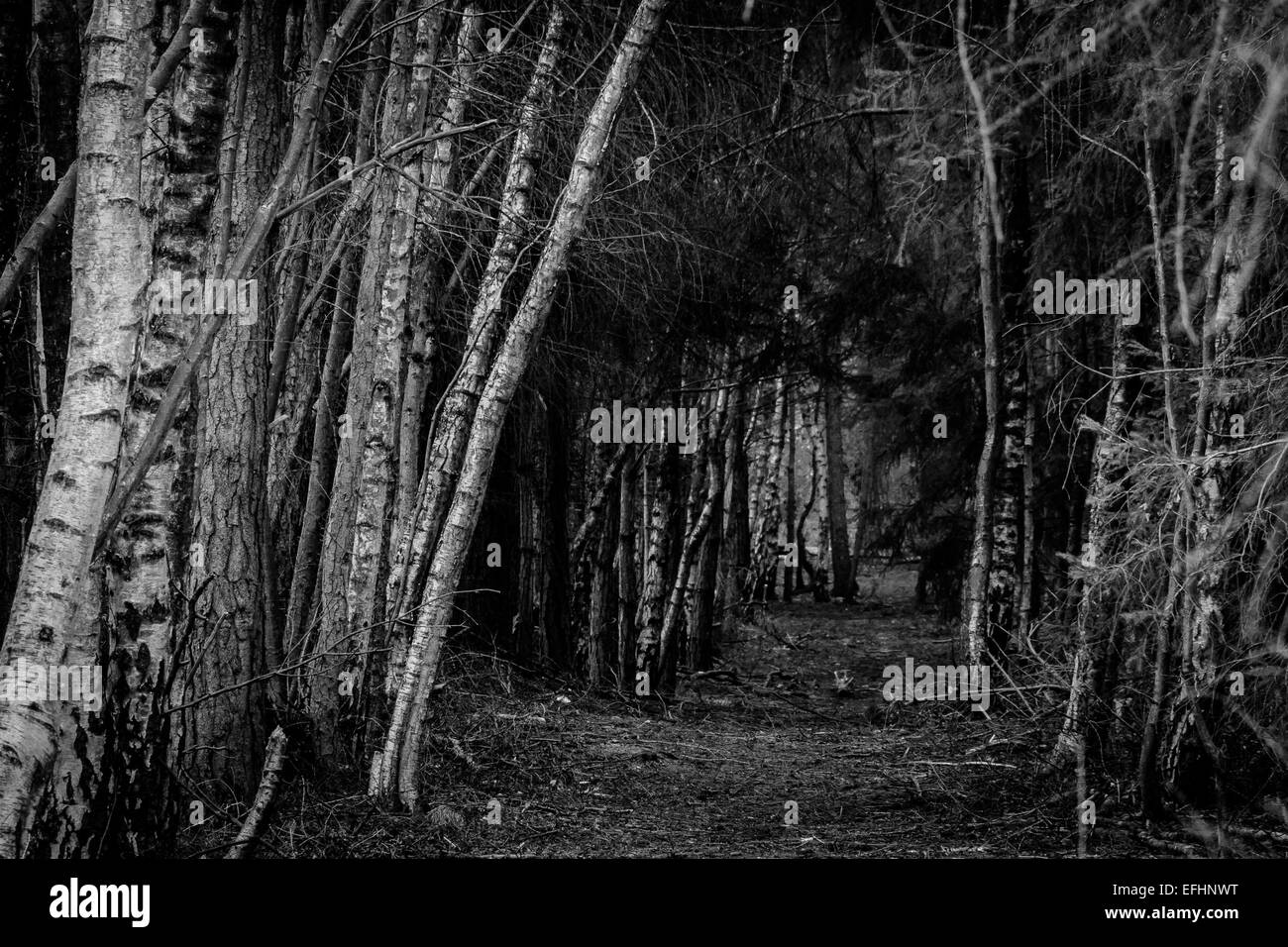 Rushmere country park hi-res stock photography and images - Alamy