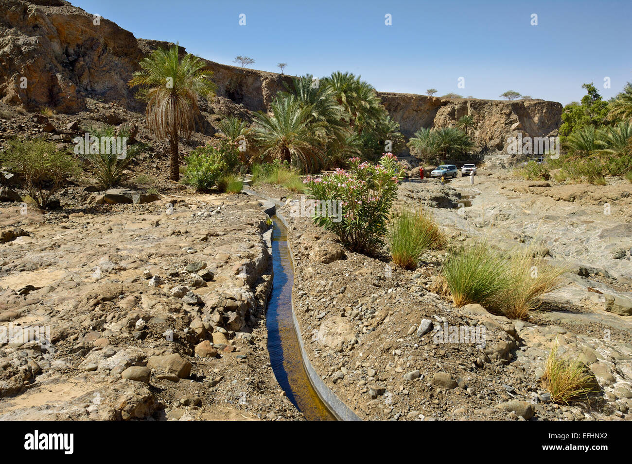 Wadi Madbah, with its traditional irrigation canal (aflaj) and date ...