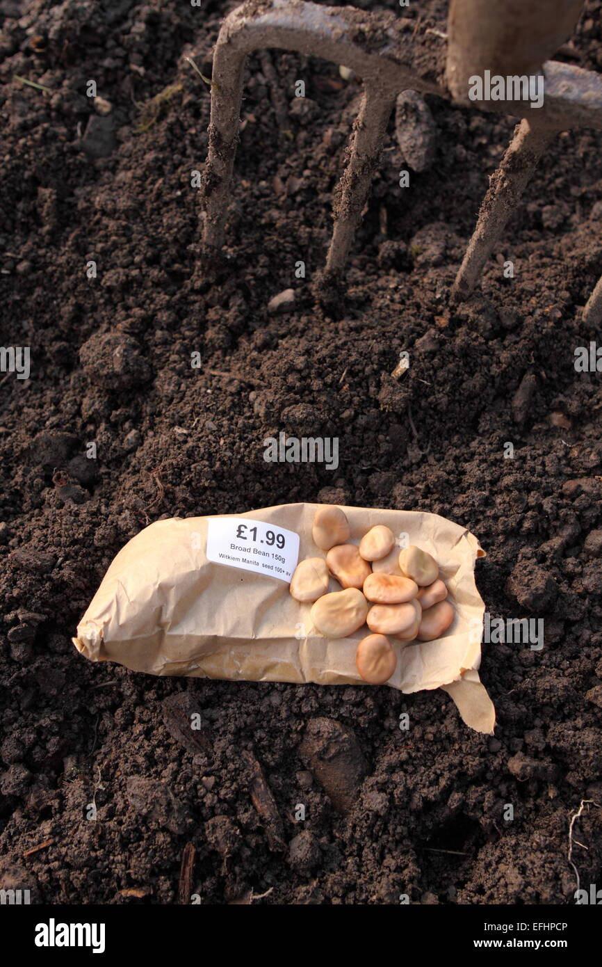 Packet of broad bean seeds hi-res stock photography and images - Alamy