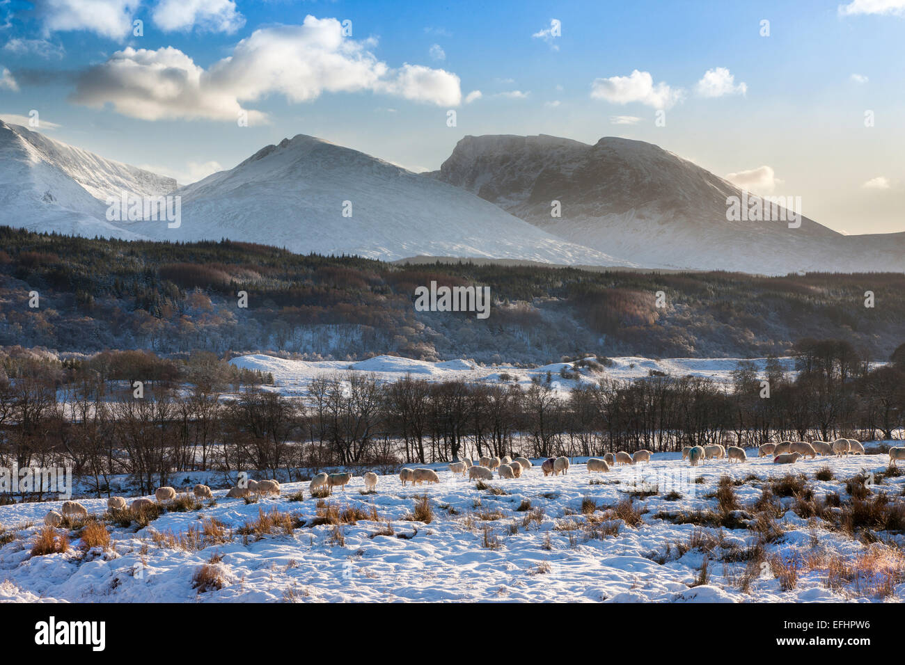 Ben nevis winter hi-res stock photography and images - Alamy