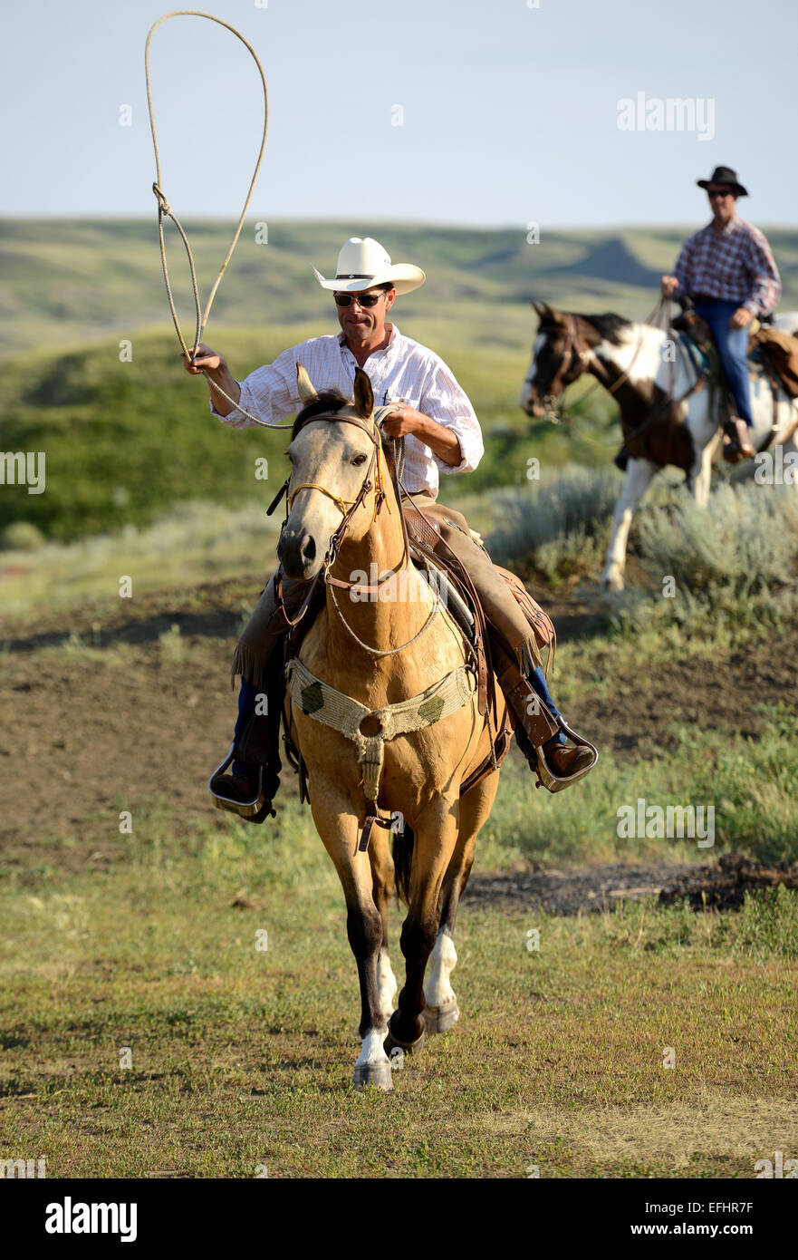 Horse rider, cowboy, La Reata Ranch, Canadian Prairies, Saskatchewan ...