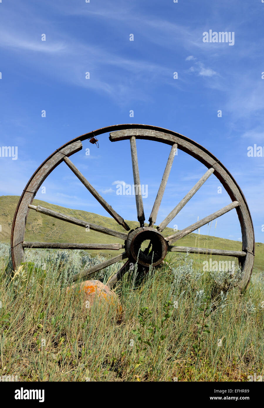 Wild west wagon hi-res stock photography and images - Alamy