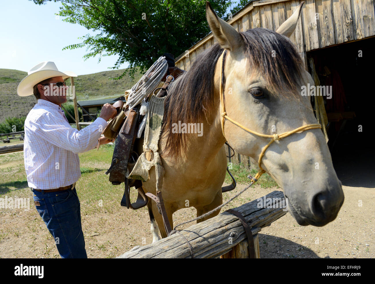 La Reata Ranch, Saskatchewan, Canada Stock Photo - Alamy