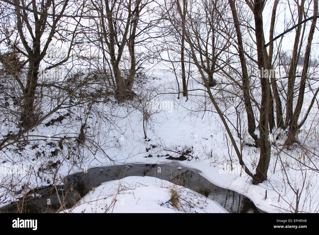Scenery of a creek with trees and snow in the winter season Stock Photo ...