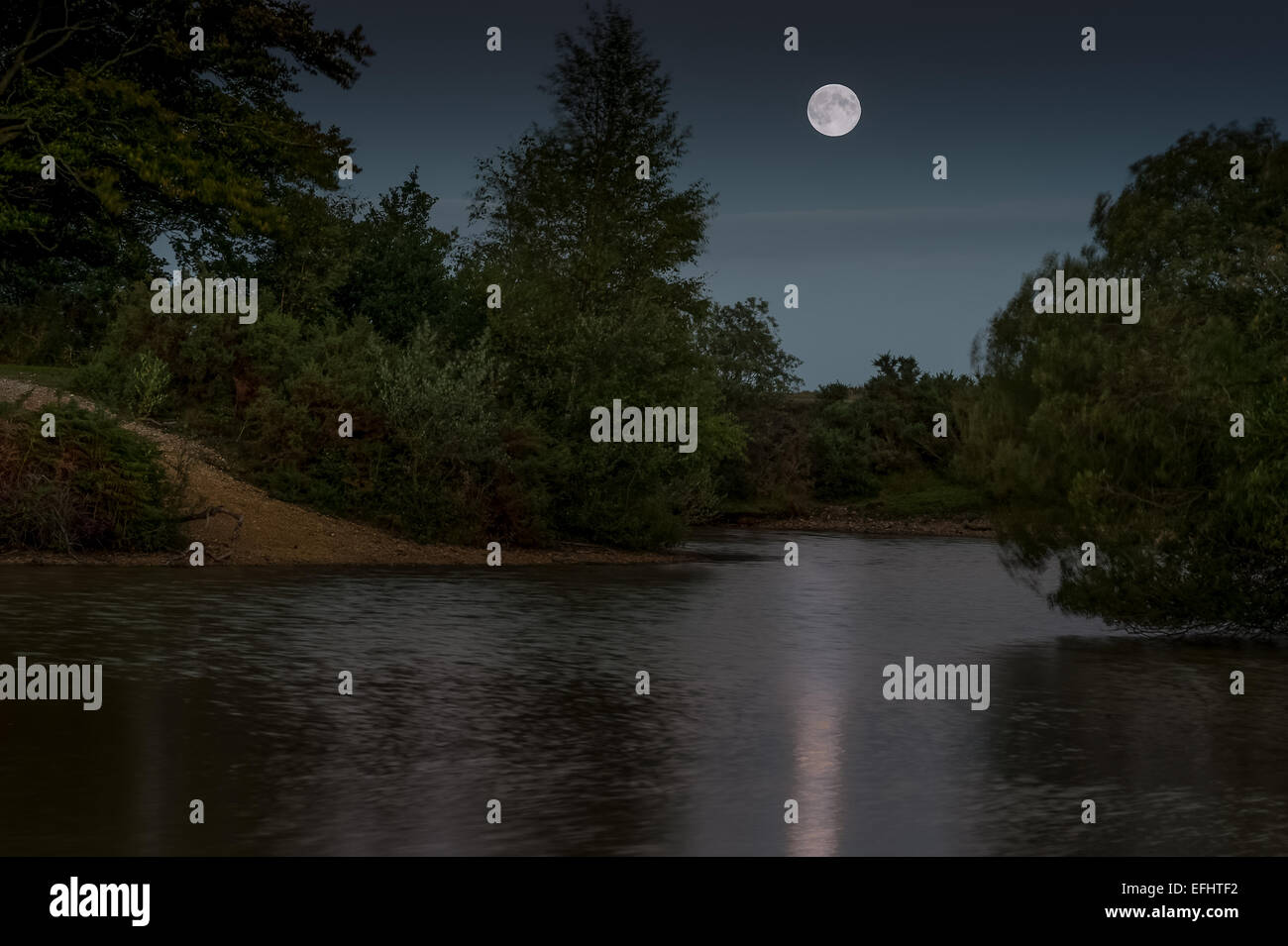 Full Moon Cadnan Pool in the New Forest Stock Photo - Alamy