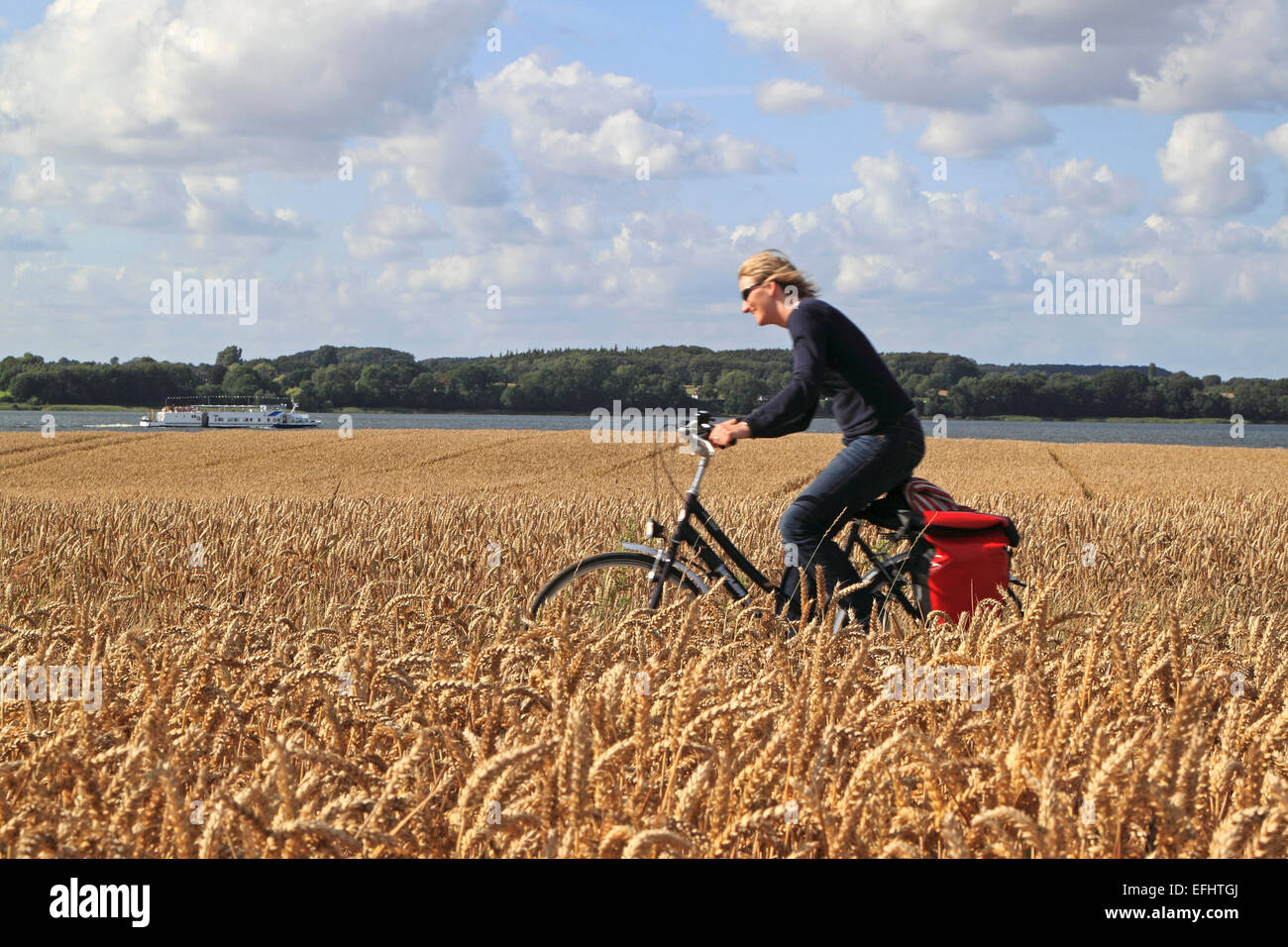 Cycling in cornfield hi-res stock photography and images - Alamy
