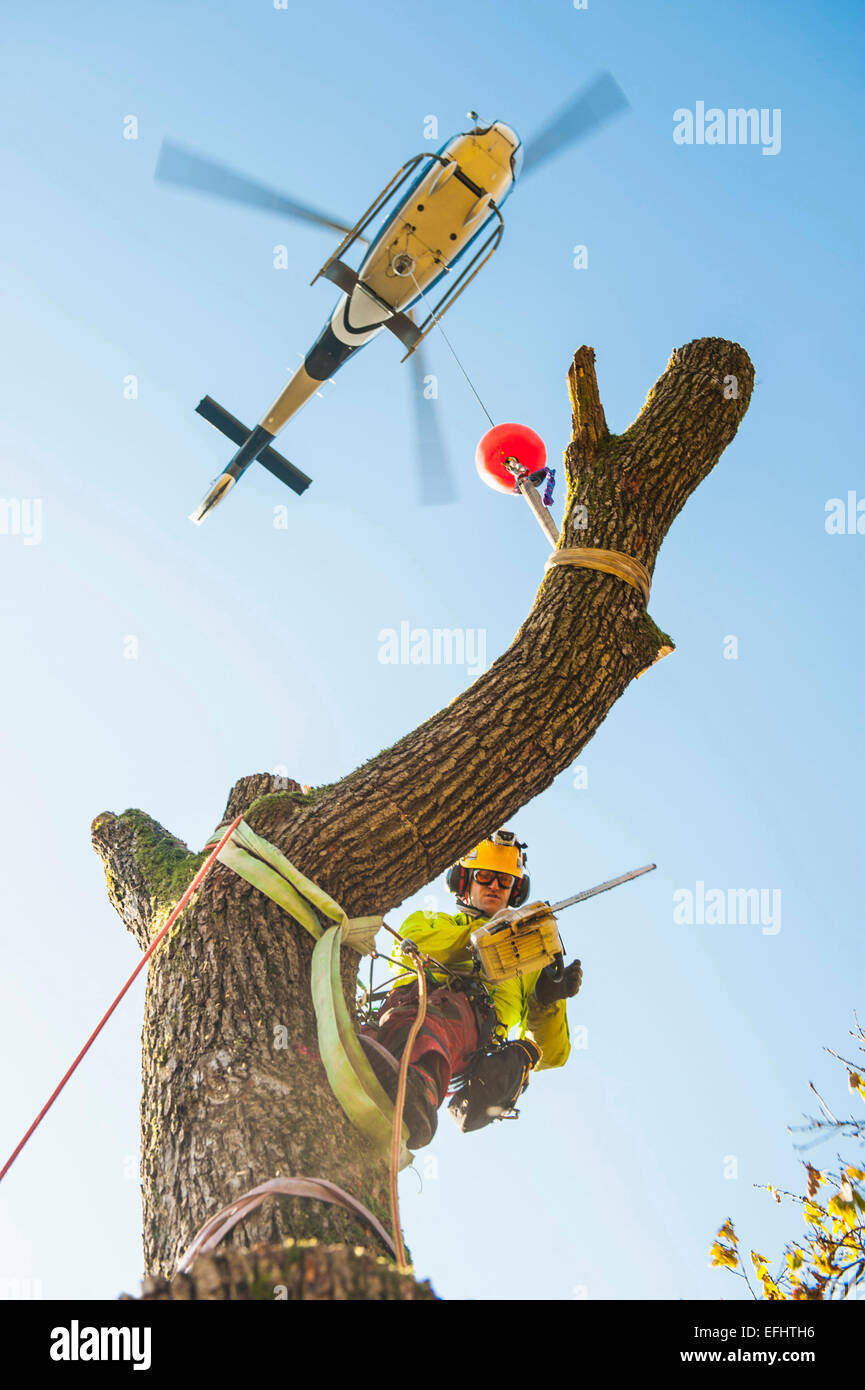 Arborist rope hi-res stock photography and images - Alamy