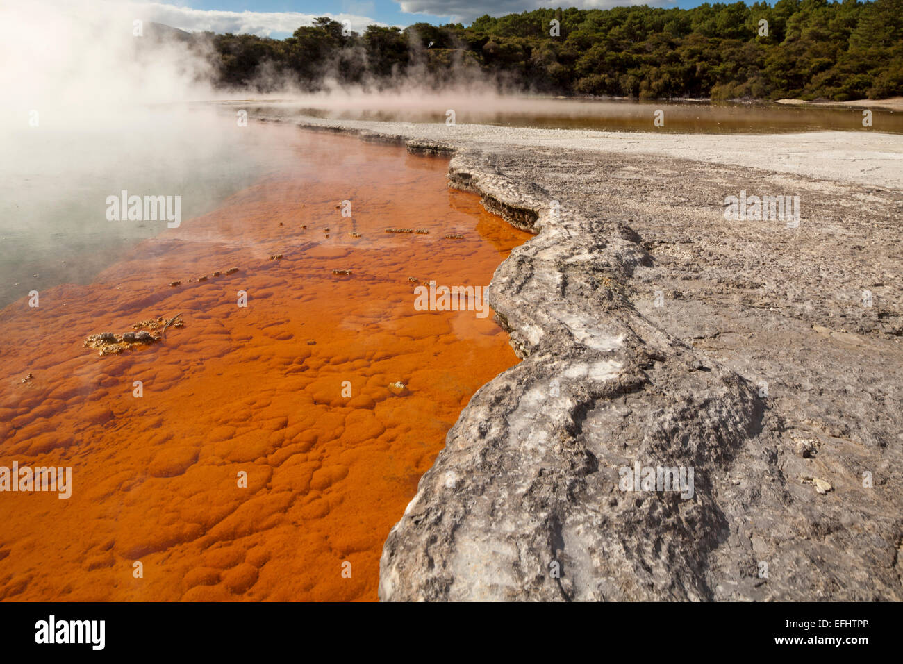 Champagne Pool, geothermal pool with carbon-dioxide bubbles, Waio-tapu ...