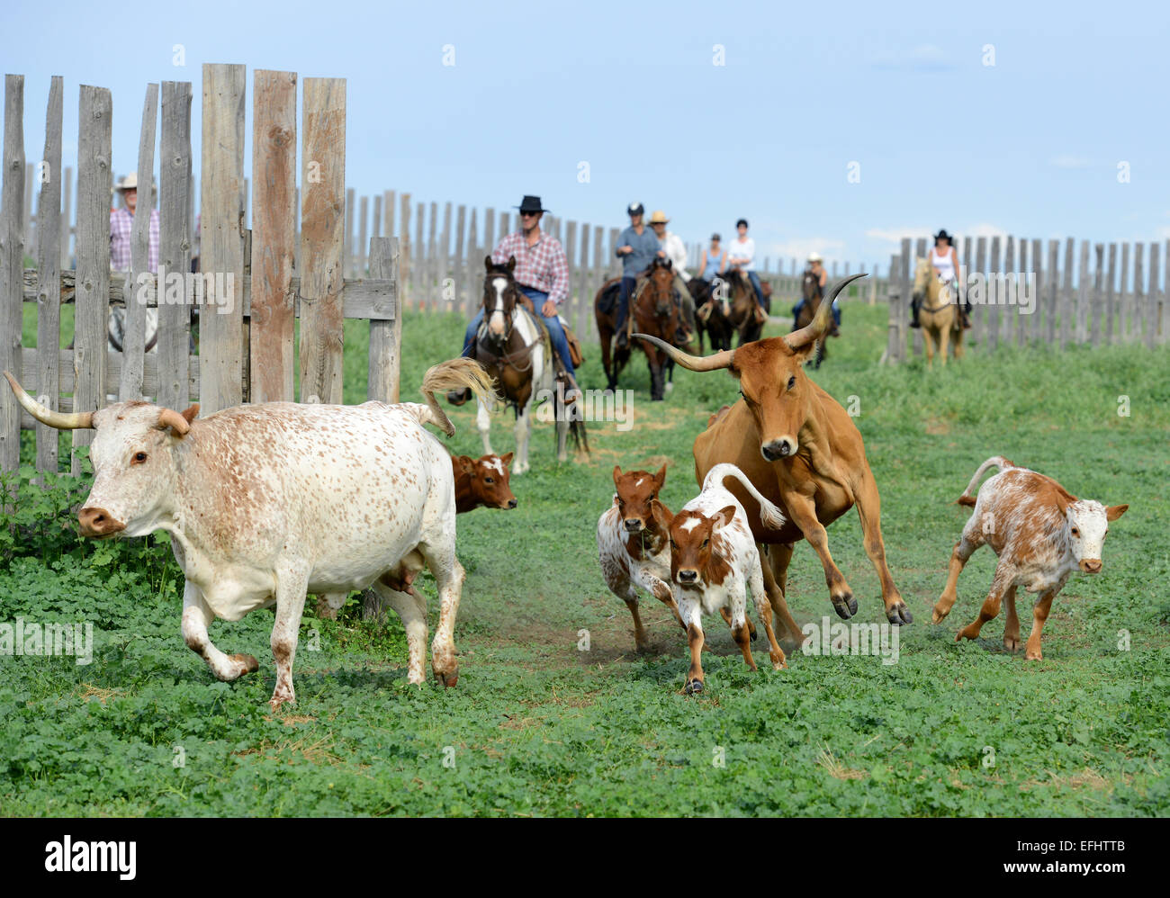 La Reata Ranch, Saskatchewan, Canada Stock Photo - Alamy