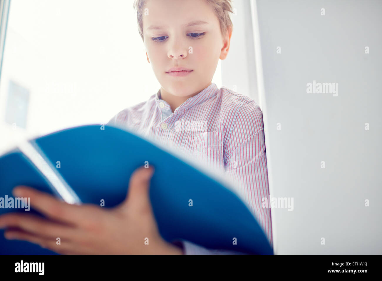 Serious schoolboy reading notes in exercise-book Stock Photo - Alamy