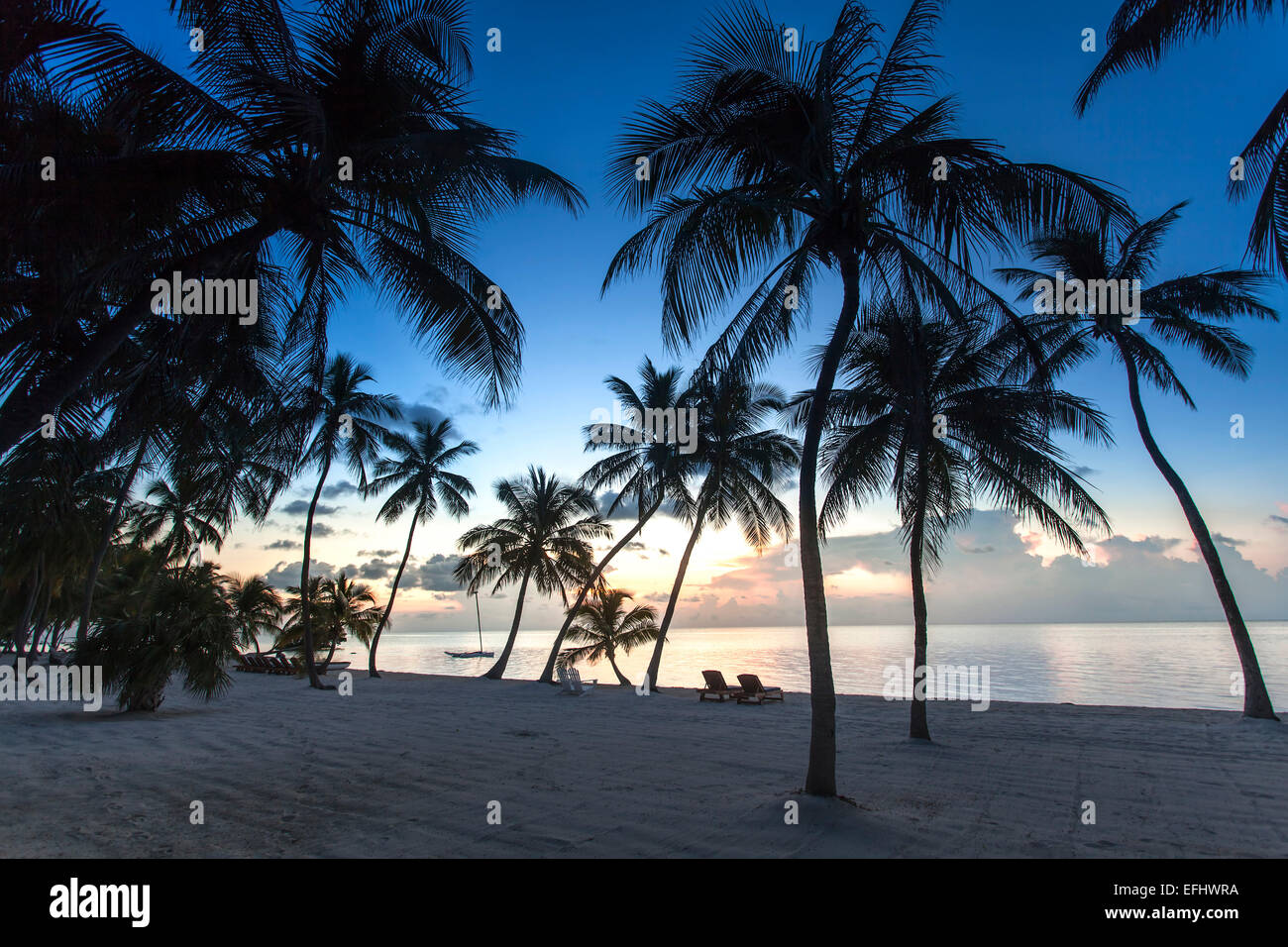 Beach at sunrise at Moorings Village Resort, Islamorada, Florida Keys ...