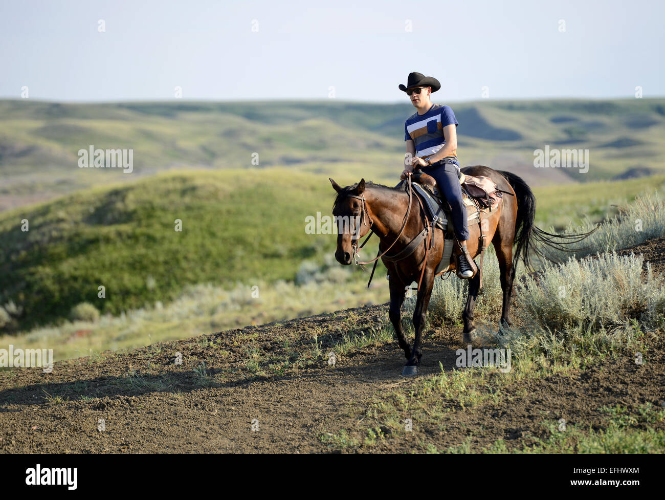 Horse and rider, La Reata Ranch, Saskatchewan, Canada Stock Photo - Alamy