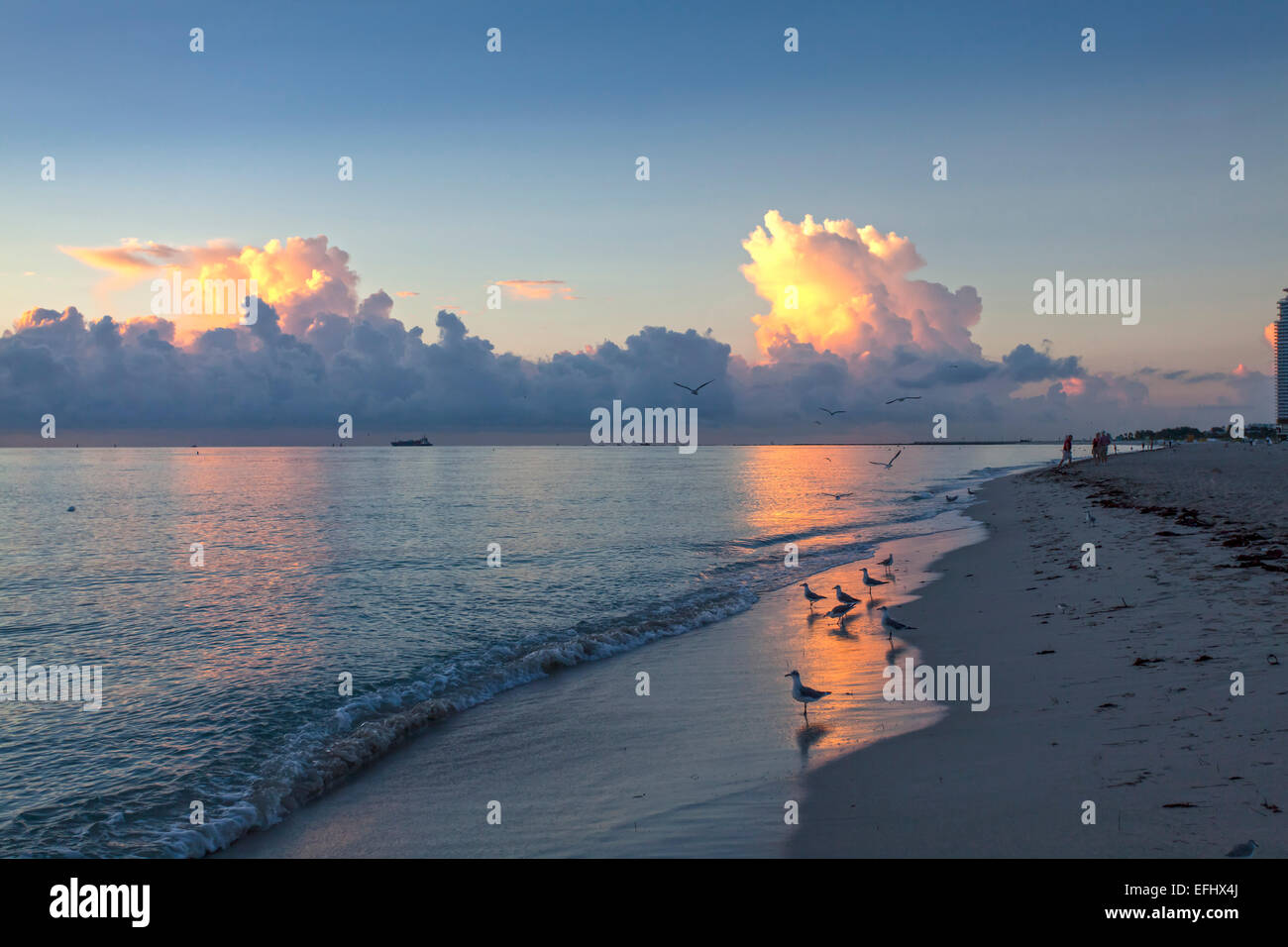Thunderstorm on the beach hi-res stock photography and images - Alamy