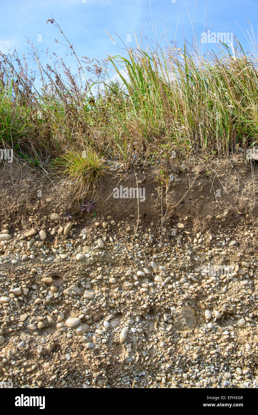 cross section of sedimentary layers in a outdoor Stock Photo - Alamy