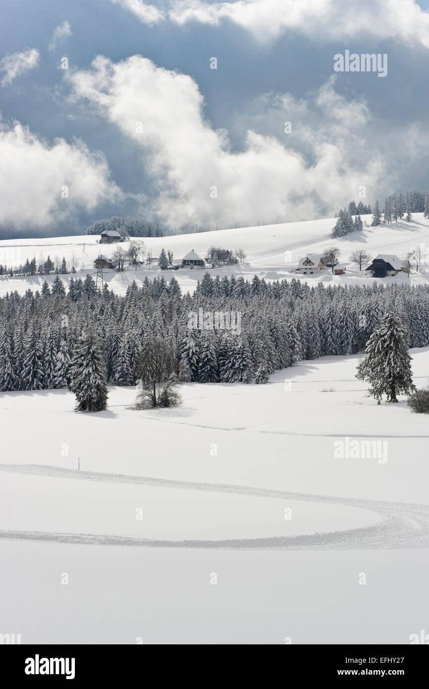 Landscape near Breitnau, near Hinterzarten, Black Forest, Baden ...