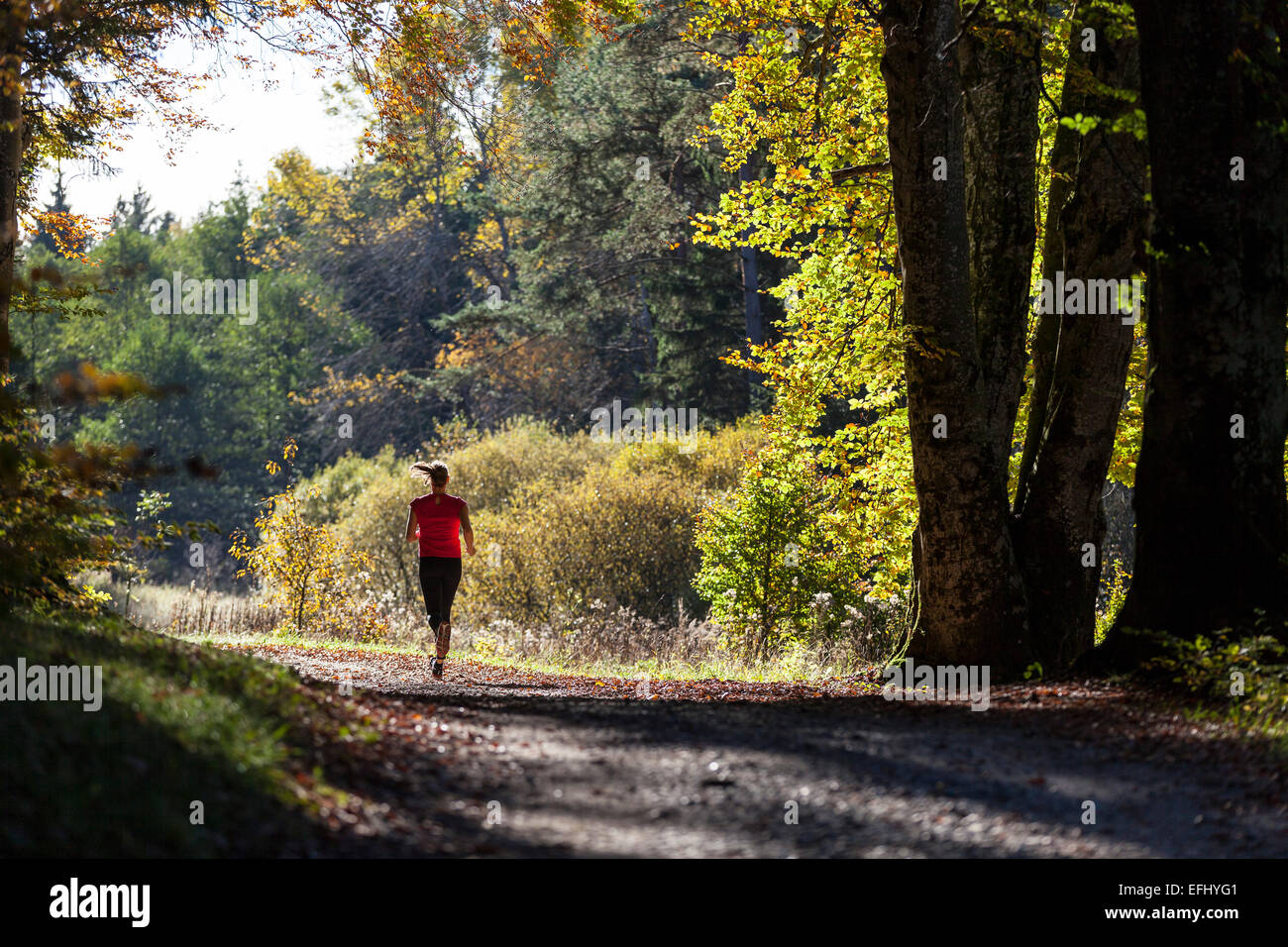 Young woman jogging through wood in autumn, Bavaria, Germany Stock ...