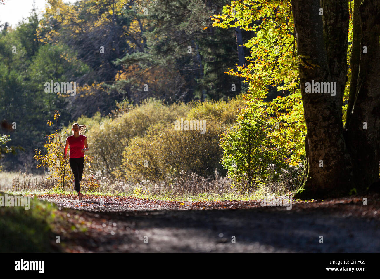 Young woman jogging through wood in autumn, Bavaria, Germany Stock ...