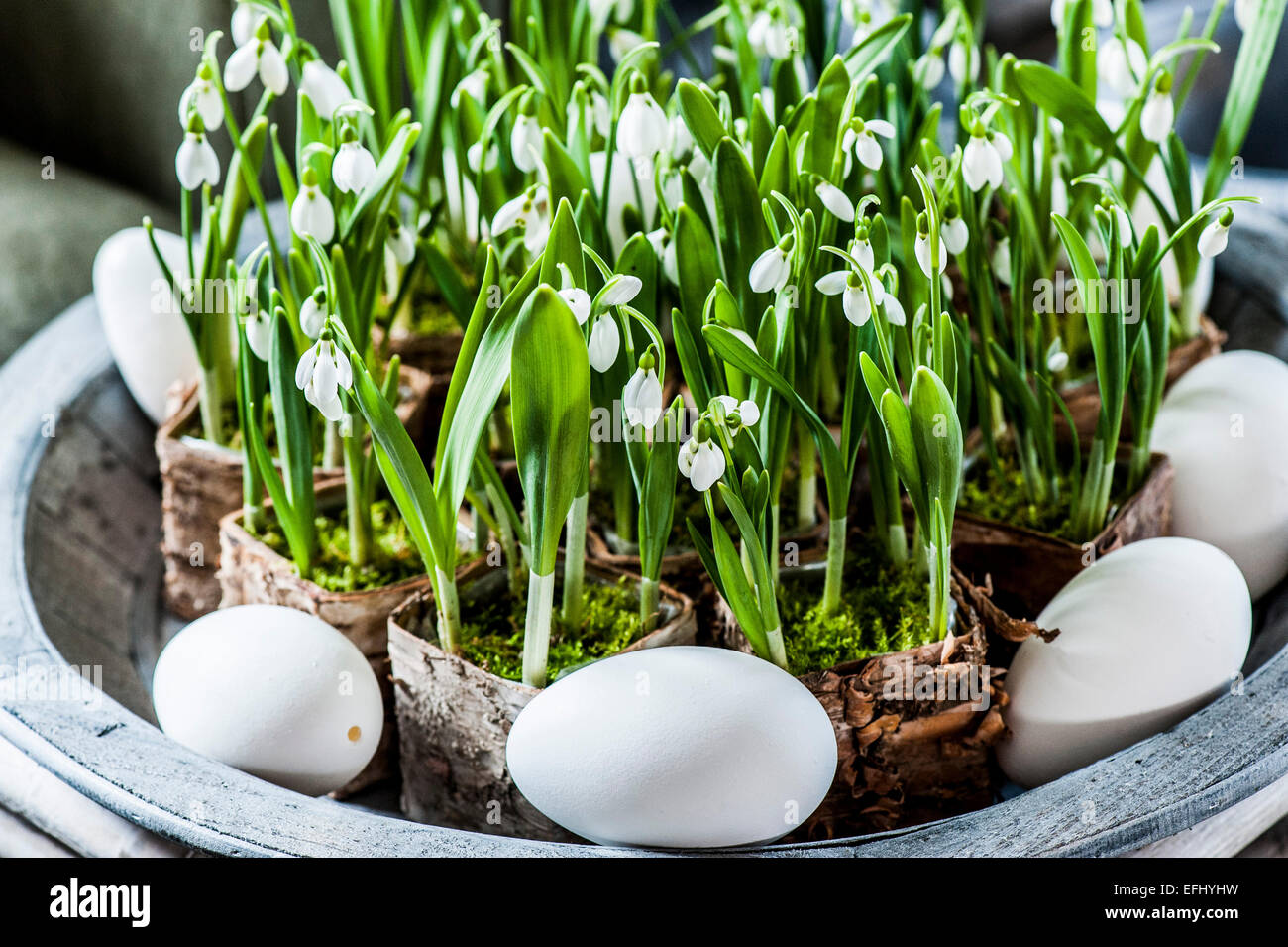 Easter wreath hi-res stock photography and images - Alamy
