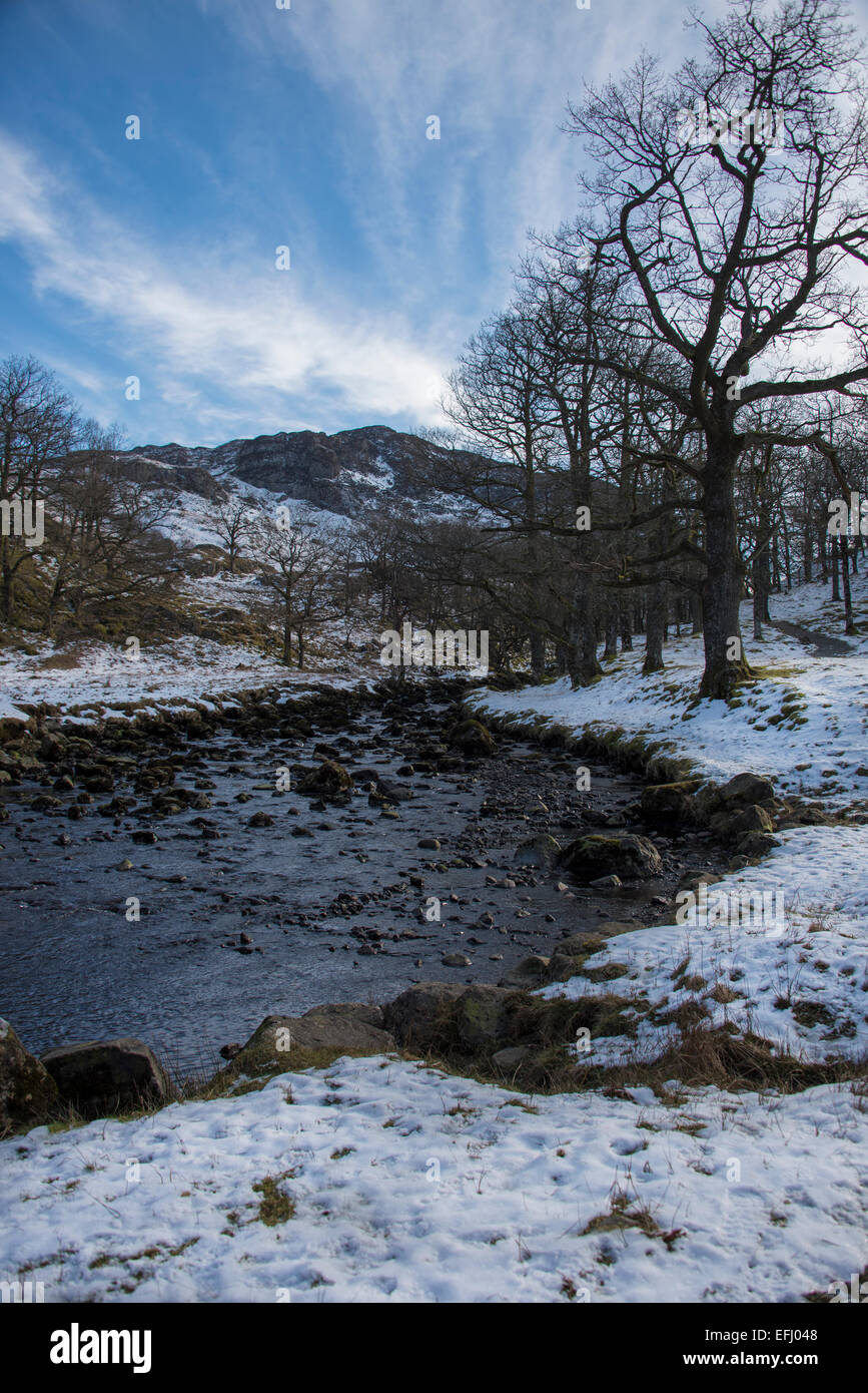Blea Tarn Gill, Watendlath valley, English Lake District Stock Photo ...