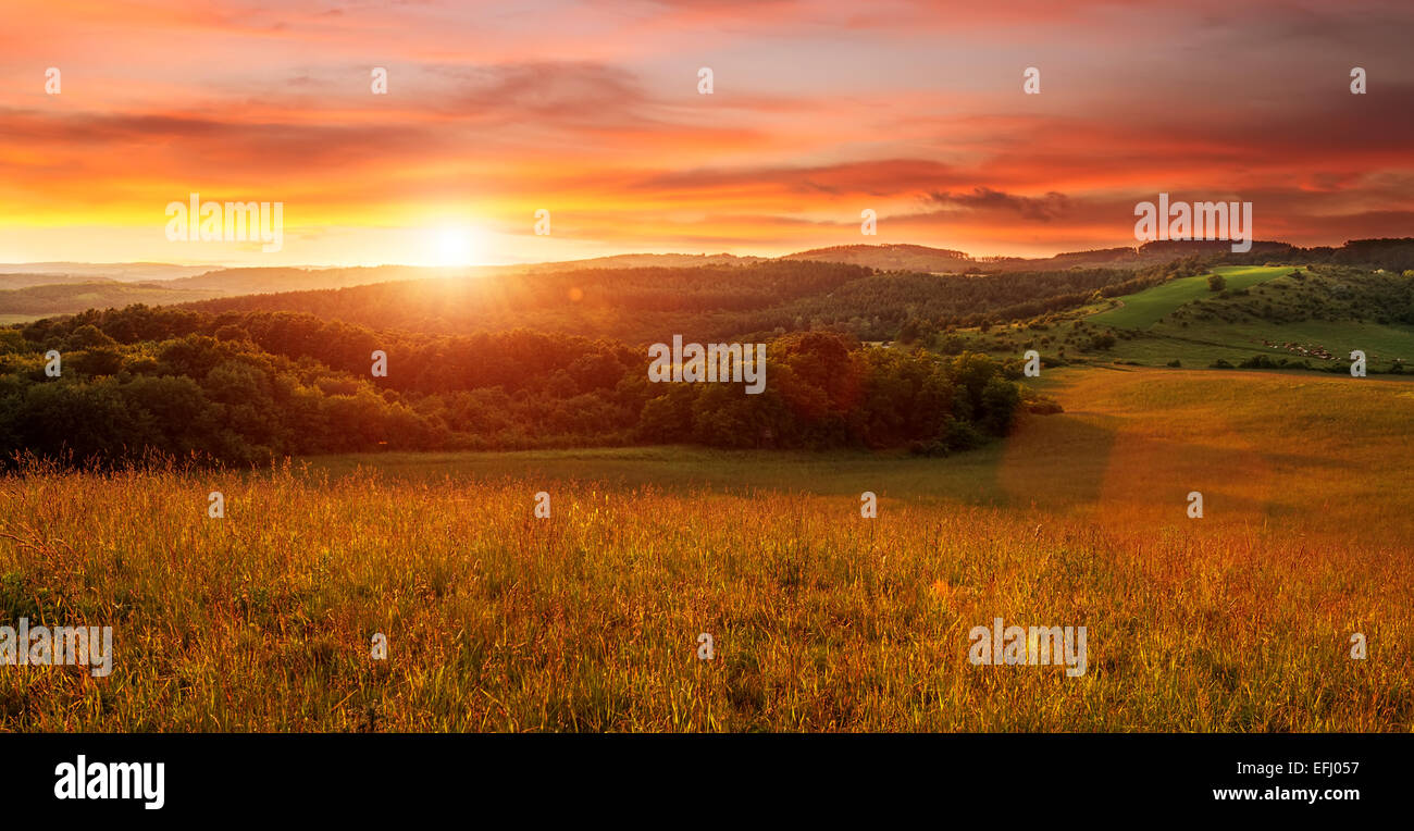 Shades of orange hi-res stock photography and images - Alamy