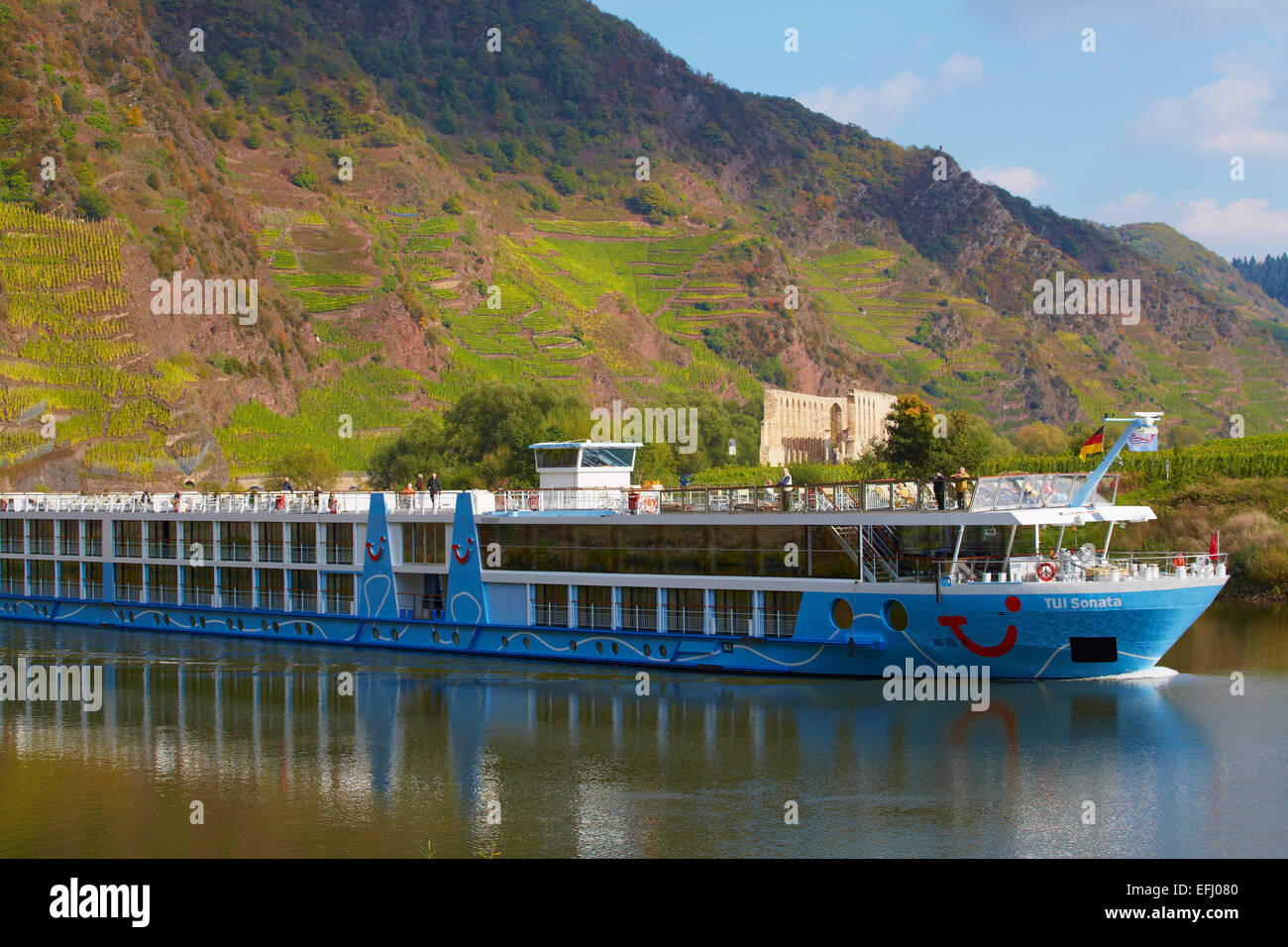 Vineyard at Bremm, Ruins of Stuben monastery, Cruiser, Bremm, Rhineland ...